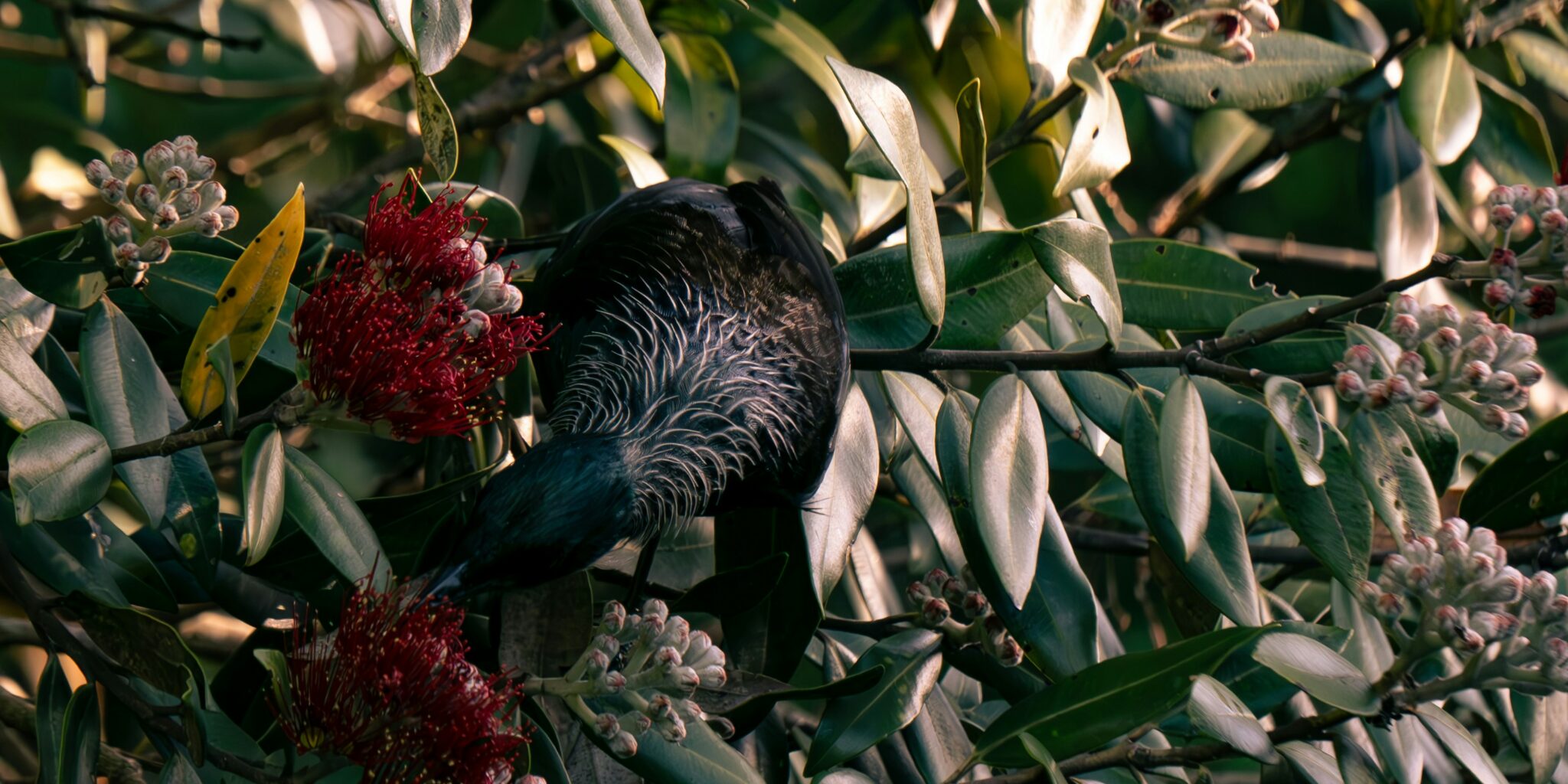 Welcome - The Gift Trust